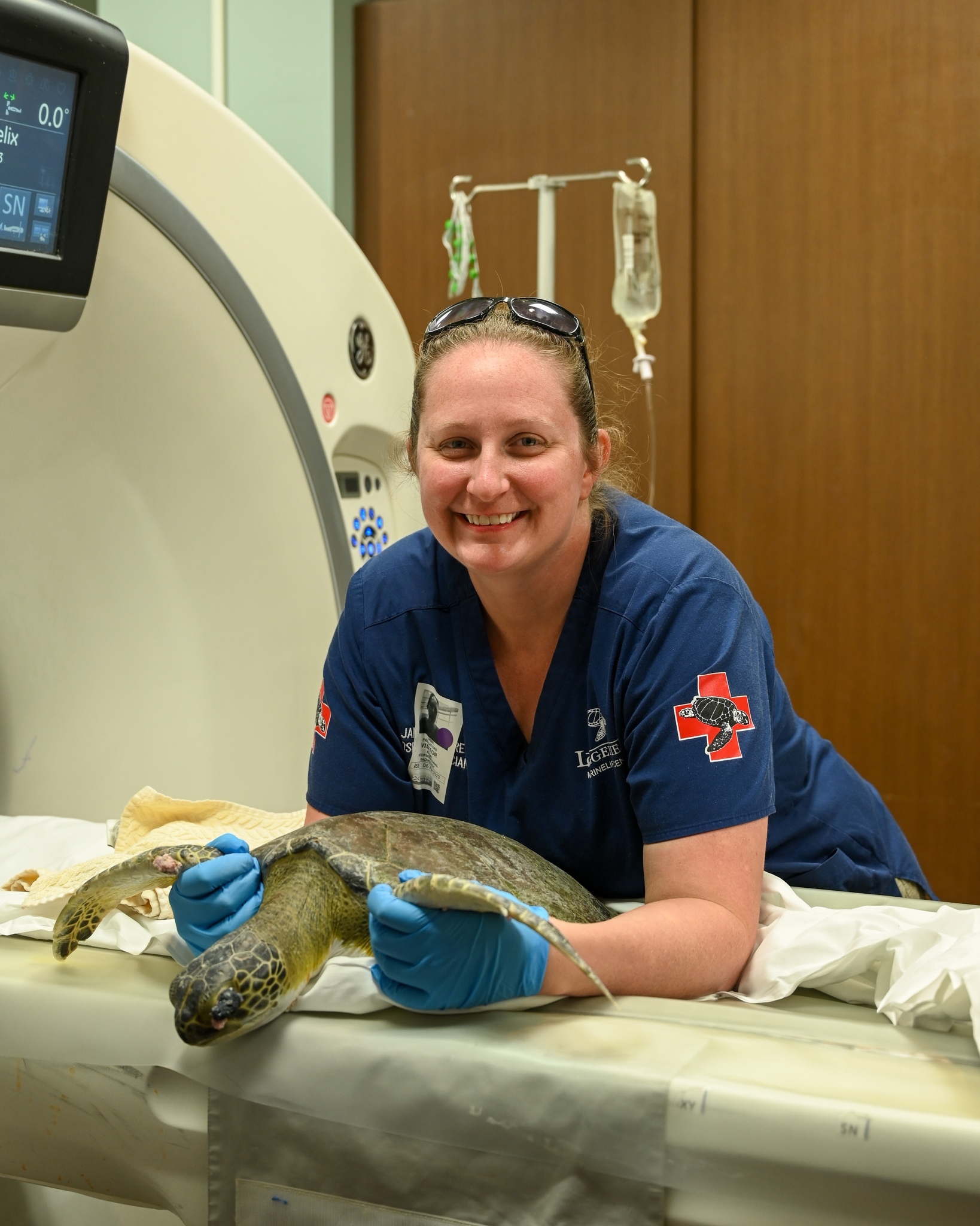 Loggerhead Marine Center - All Florida Stuff - attractions