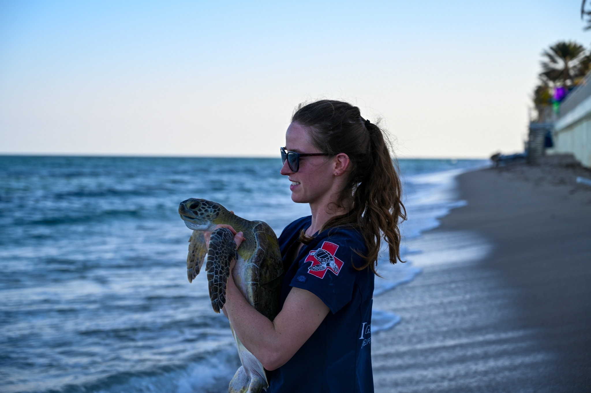 Loggerhead Marine Center - All Florida Stuff - attractions